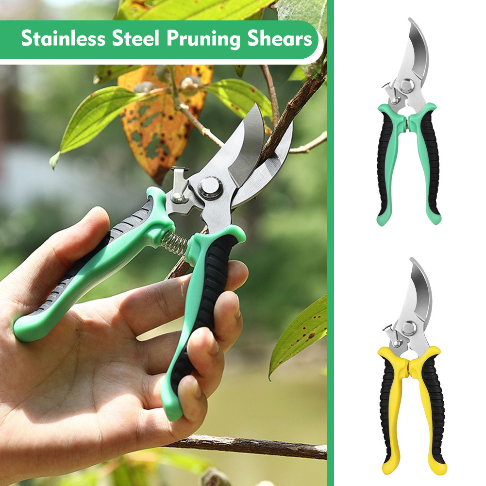 Jual Unting Dahan Professional Stainless Steel Germany Quality | Shopee ...