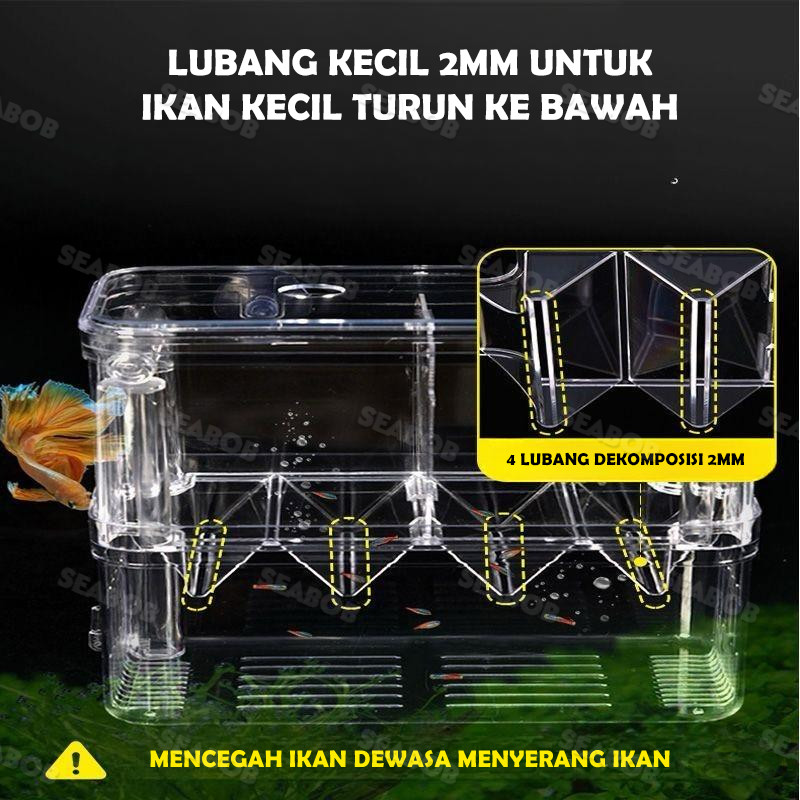 Jual SEABOB Breeding Box Guppy A14/ Isolation Box / Wadah Karantina ...