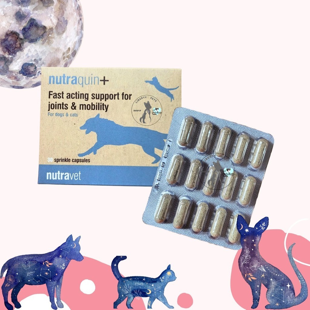 Jual Nutraquin Plus Suplemen Sendi / Joint / Anti Radang & Tulang Cat ...