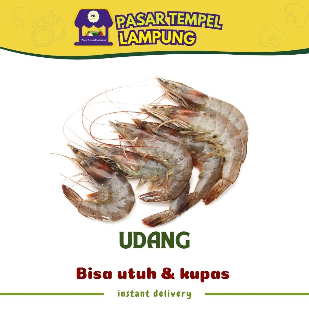 Jual Udang Udang Segar Udang Makanan Segar Seafood Segar Olahan Laut ...