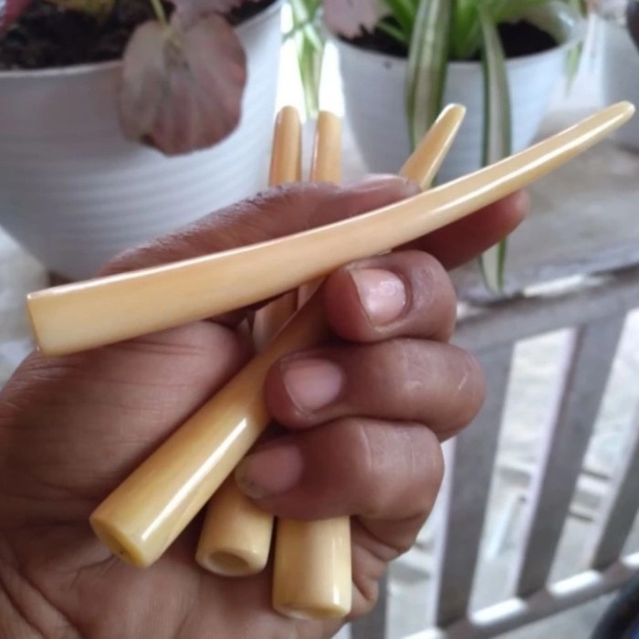 Jual Once Pipa Cangklong Tulang Sapi Mirip Gading Bulat - Panjang 11 ...