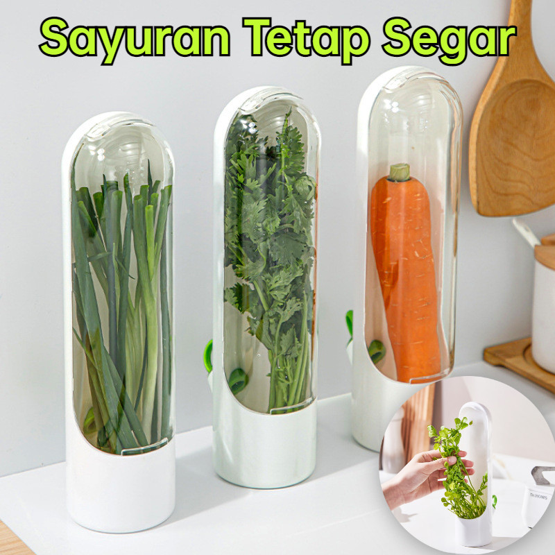 Jual Wadah Tempat Penyimpan Sayur Wadah Penyimpanan Daun Sayur Herb ...