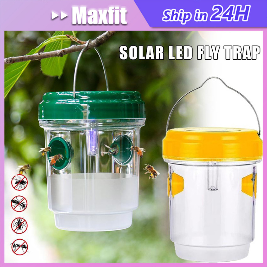 Jual Perangkap Lalat Buah Dengan Lampu Surya Tenaga Atraktan Pengendali ...