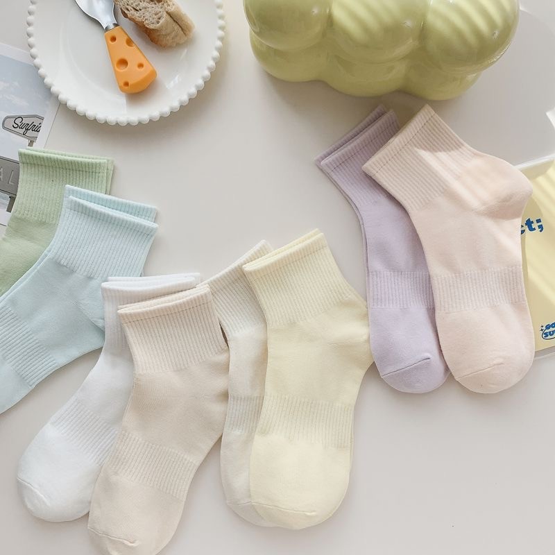 Jual Little Maple - Polos Pastel Korean Sock / Kaos Kaki Premium Korea ...