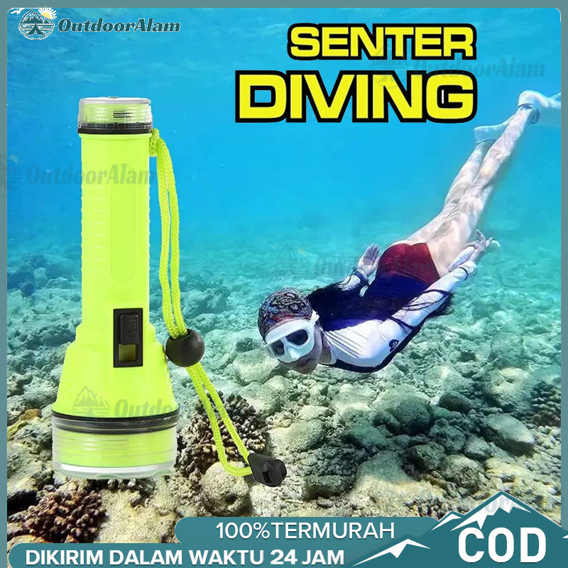 Jual Senter Tangan Menyelam / Senter Diving Rolinson Senter darurat ...
