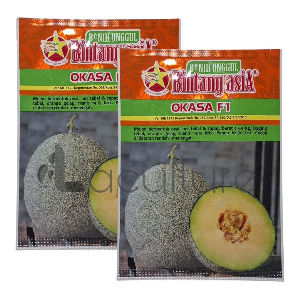 Jual Benih Melon OKASA F1Rock Melon Isi 20 Gram Benih Bintang Asia ...