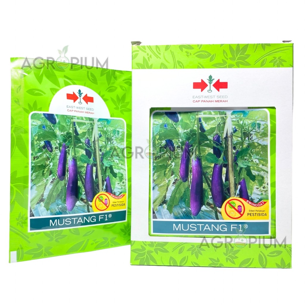 Jual Benih Terong Ungu MUSTANG F1 Isi 1100 Butir Cap Panah Merah | Shopee Indonesia
