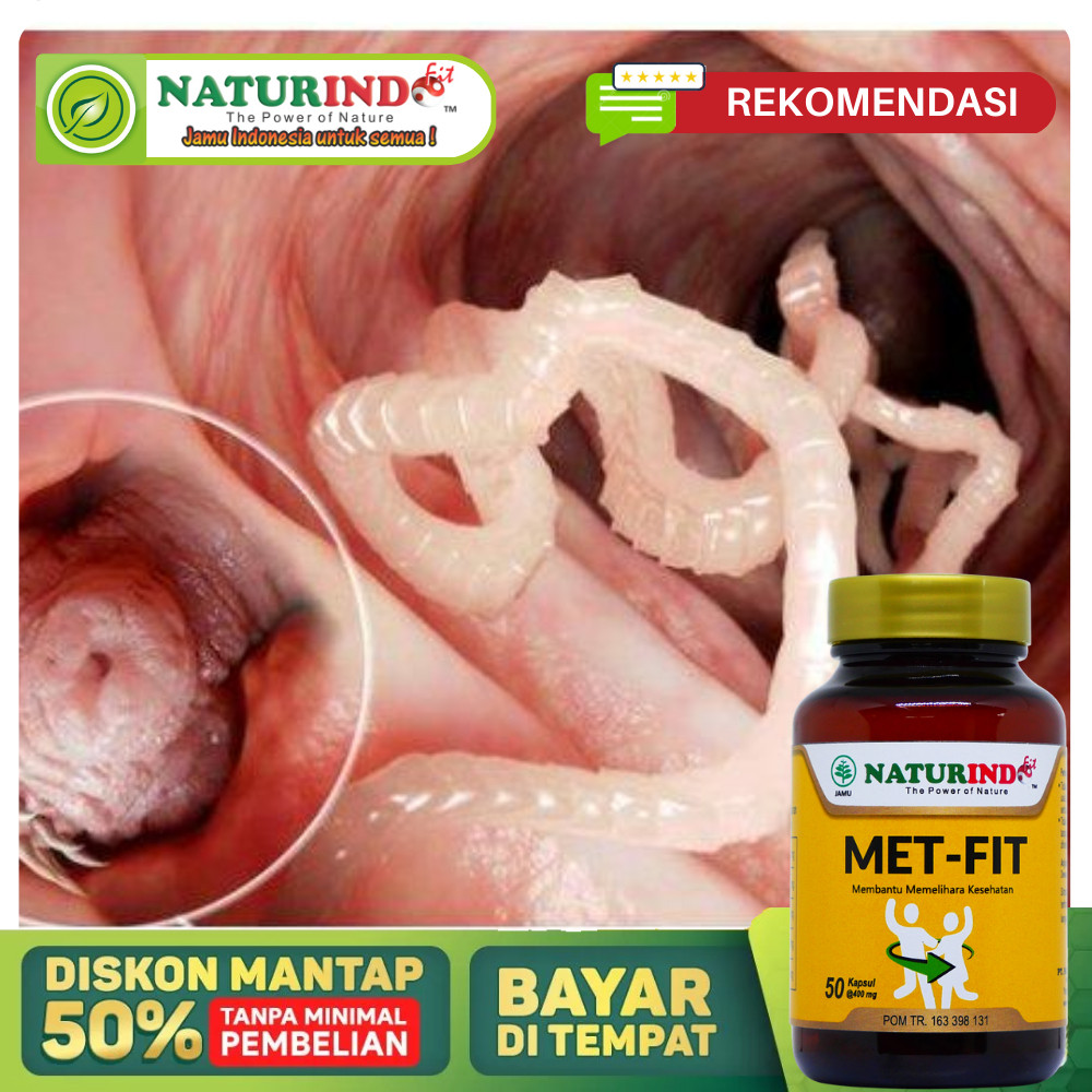 Jual Obat Cacingan Anak Dan Dewasa, Cacing Kremi, Cacing Parasit ...