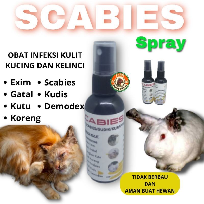 Jual SCABIES KUCING/ SCABIES KELINCI/ SCABIES SPRAY/OBAT SCABIES/ OBAT ...