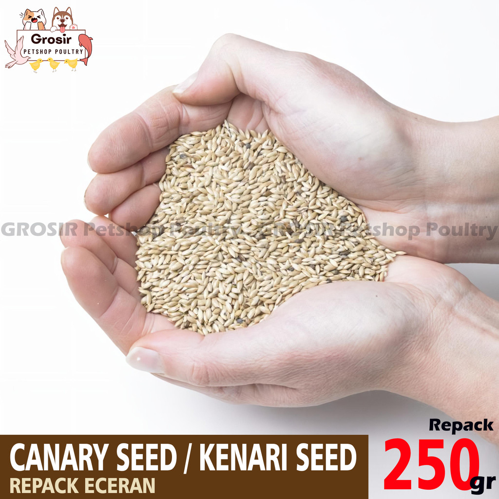 Jual Kenari seed vita canary seed vita repack 250 gram | Shopee Indonesia