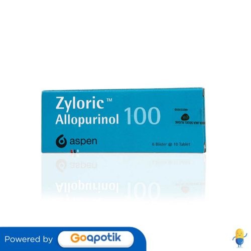 Jual Zyloric 100 Mg Box 60 Tablet | Shopee Indonesia