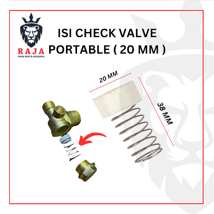 Jual Isi Check Valve Portable 20 MM untuk Kompresor Angin | Shopee ...