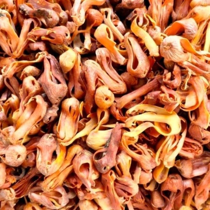 Jual Bunga Pala Lonjong Kering 100gr - Kembang Polo - Fuli | Shopee ...