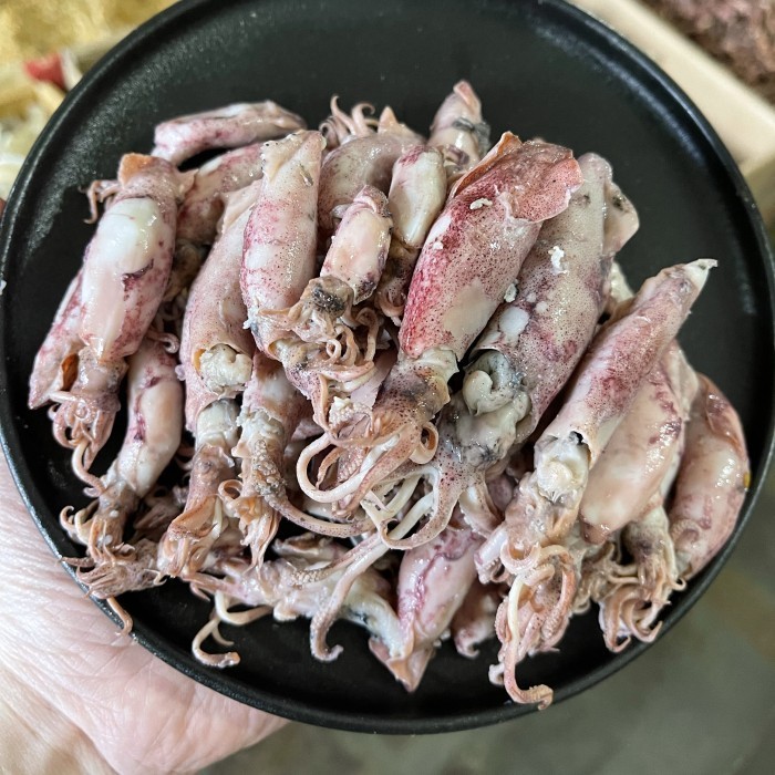 Jual Cumi telur cumi rebus fresh | Shopee Indonesia