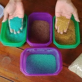 Jual Benih rumput gajah mini PREMIUM Benih Rumput Jepang Import F1 ...