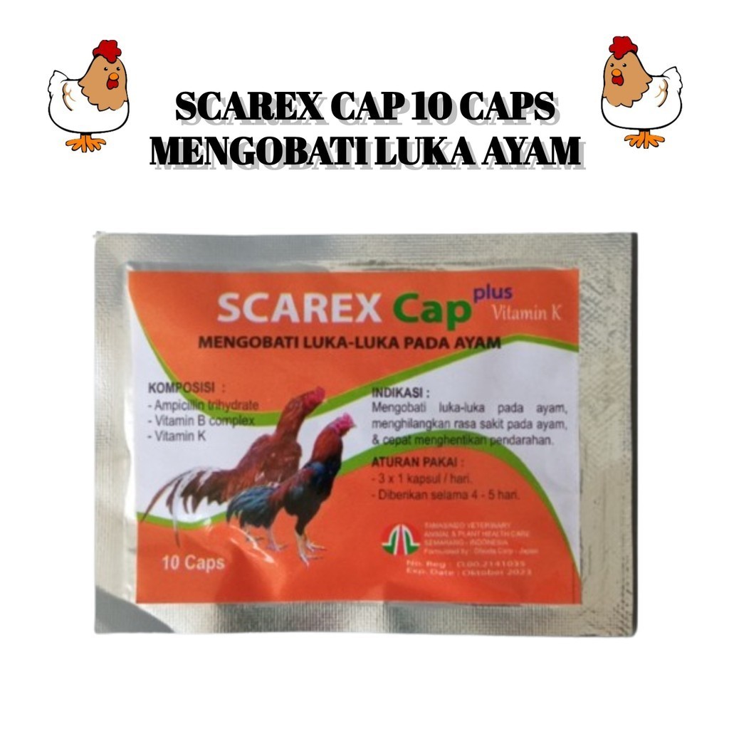 Jual SCAREX CAPS Mengobati Luka Pada Ayam Aduan Jago Hobi Bangkok Tarung | Shopee Indonesia