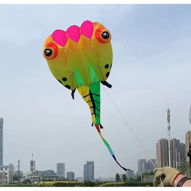 Jual 13 Tadpole Kite large adult Kite wind pointer kites for adults ...