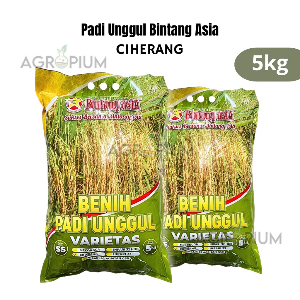 Jual Benih Padi Hibrida Super Unggul Ciherang 5Kg Bintang Asia | Shopee Indonesia