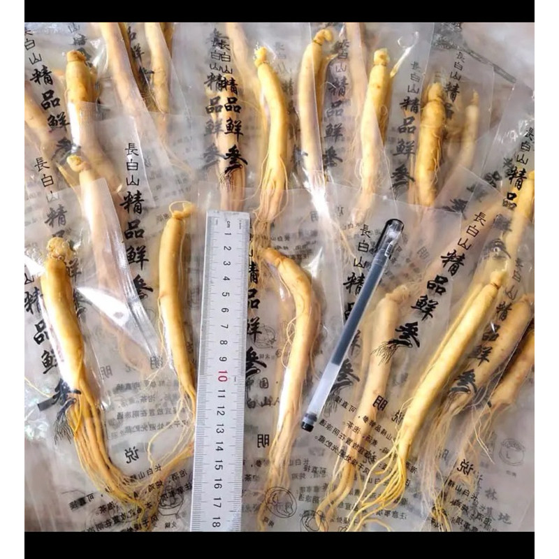 Jual (20 gram) Fresh Ginseng root vacum pack / Akar Ginseng Segar ...