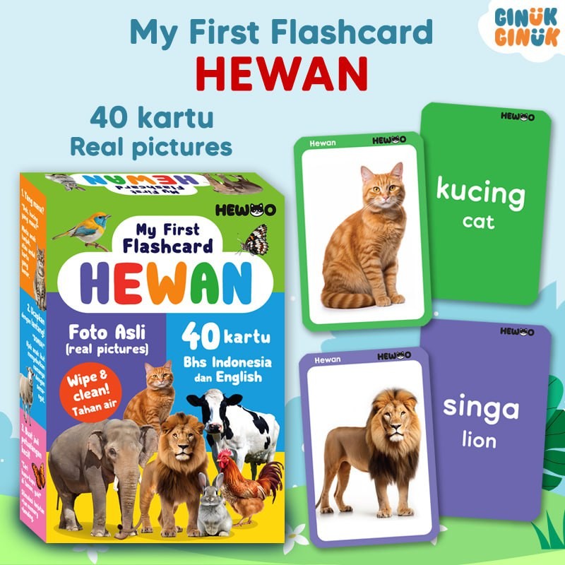 Jual My First Flashcard HEWAN (40 kartu - gambar foto asli) - kartu ...