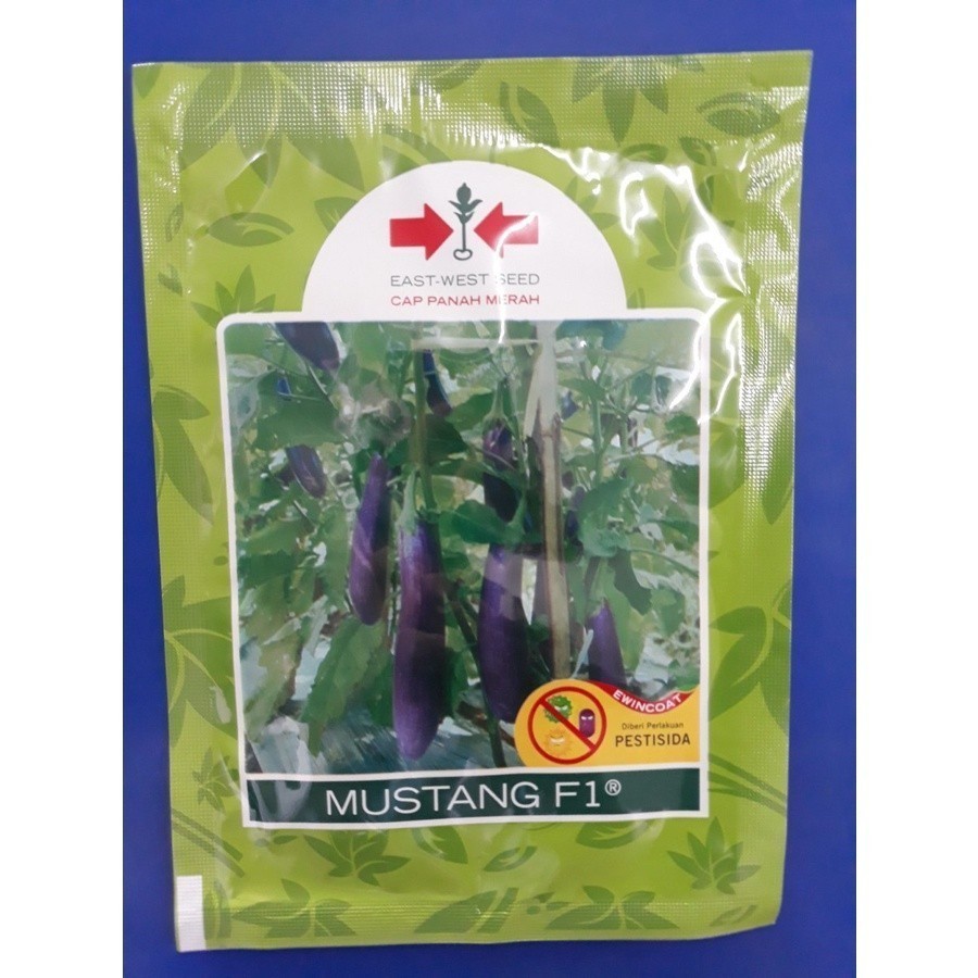 Jual BENIH BIBIT TERONG UNGU MUSTANG F1 1100 BTR | Shopee Indonesia