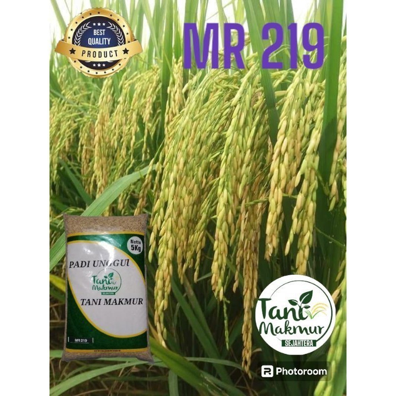 Jual Benih padi unggul MR 219 premium kemasan 5kg | Shopee Indonesia