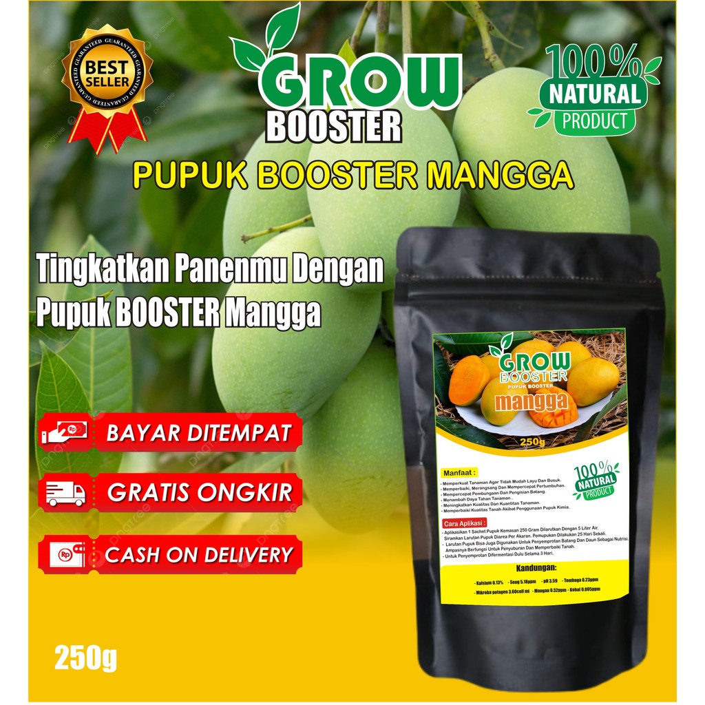 Jual Pupuk Booster Mangga (250gr) I pupuk organik pelebat tanaman I ...