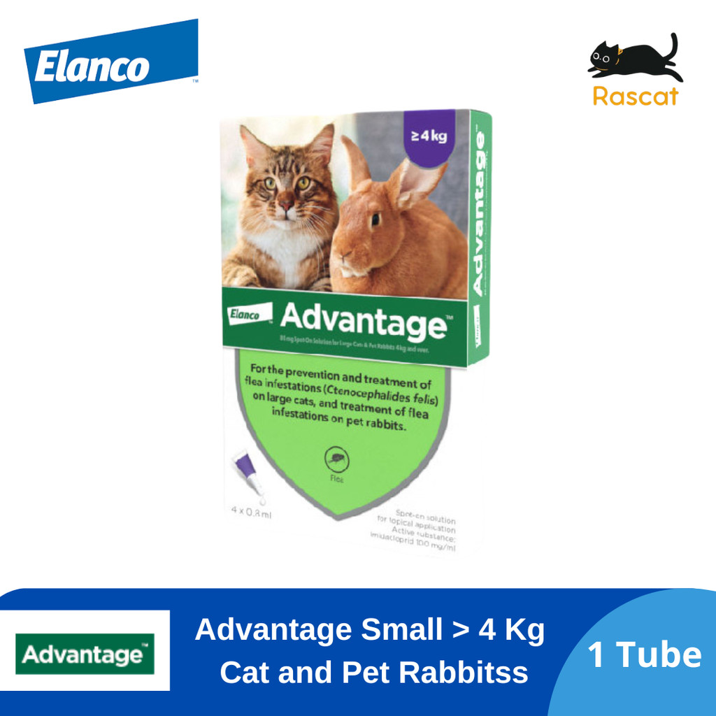 Jual Advantage Cat + Pet Rabbits Berat >4 Kg / Obat Kutu Kucing 1 tube ...