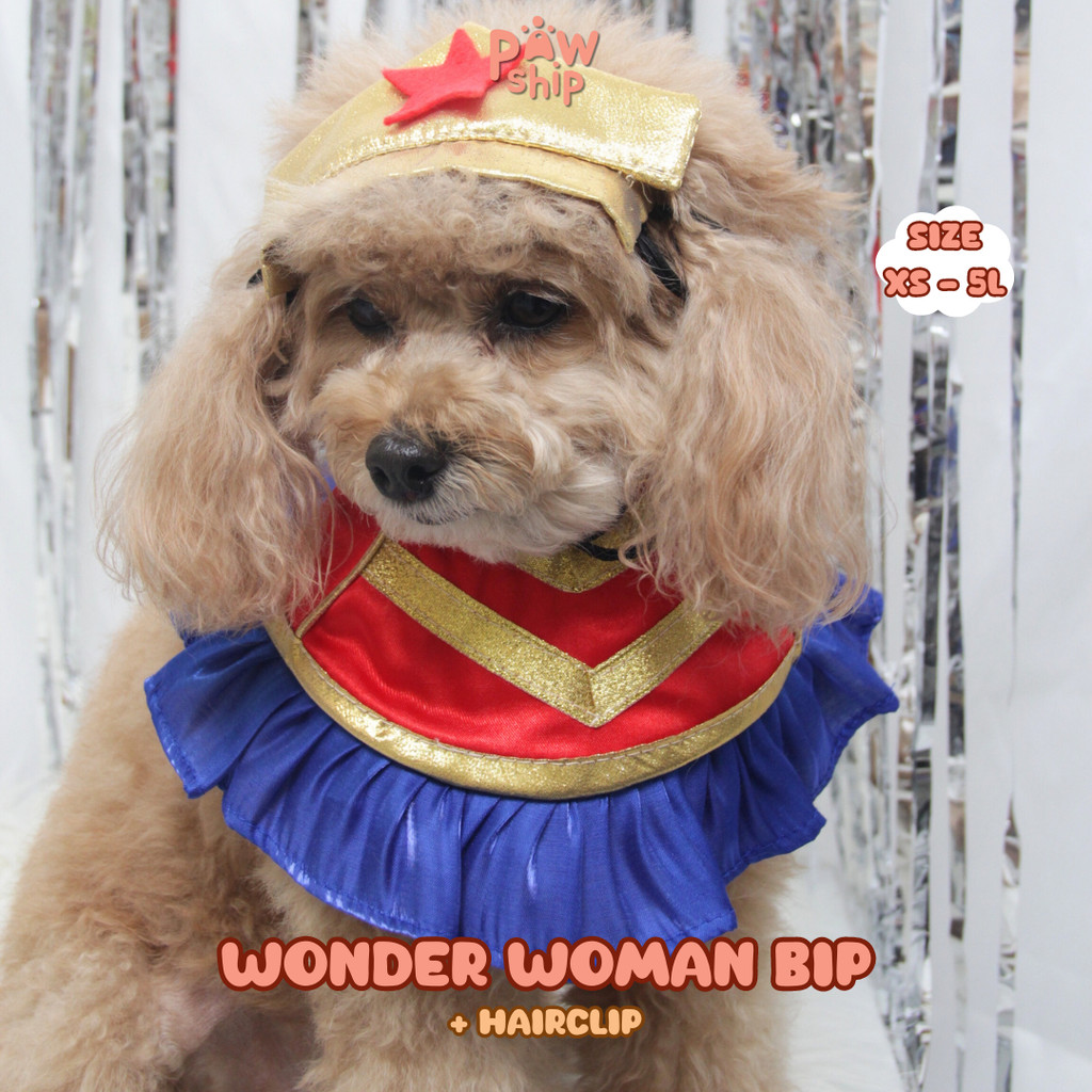 Jual Pawship Kostum Kucing Anjing / Kostum Superhero / BIB Kucing ...