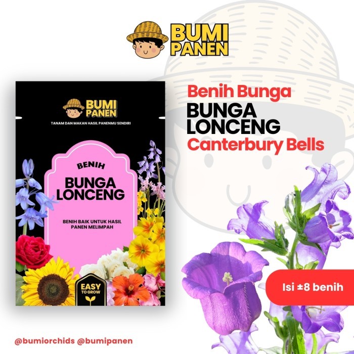 Jual Benih Bunga Lonceng / Canterbury Bells / Campanula medium ...