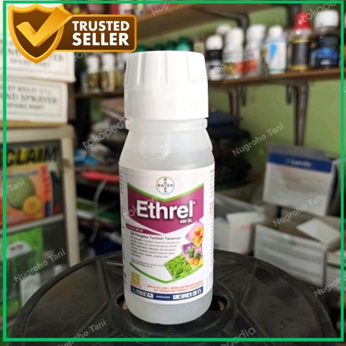 Jual ETHREL 480 SL 100 ML MEMPERCEPAT PEMATANGAN BUAH | Shopee Indonesia