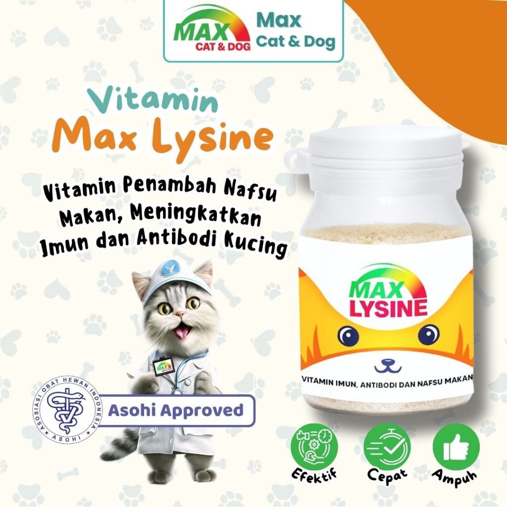 Jual Max Lysine Vitamin Kesehatan Kucing Max Lysine Untuk Imunitas dan ...