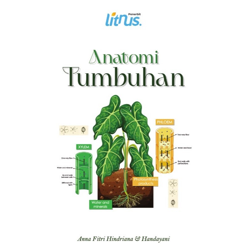 Jual ANATOMI TUMBUHAN Anna Fitri Hindriana Handayani | Shopee Indonesia