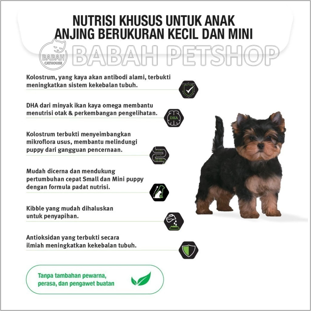 Jual 2,5kg PROPLAN PUPPY SMALL BREED & MINI dog food puppies makanan ...