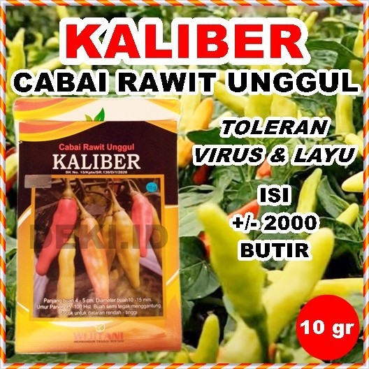 Jual Benih Cabe Rawit Kaliber Bibit Cabai Unggul 10 Gram Kemasan Pabrik ...