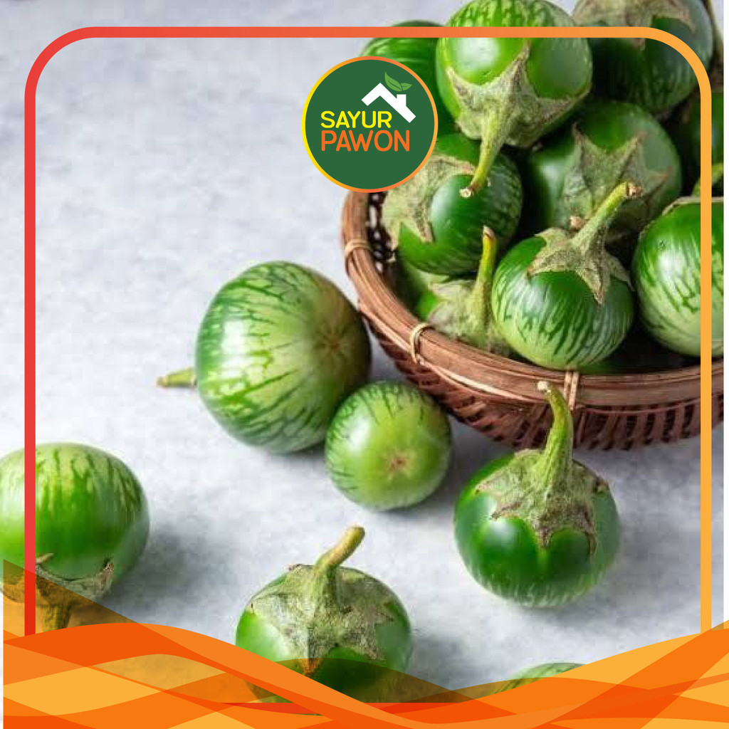 Jual Terong Hijau Lalap / Terong Bulat per 500 gram - Sayur Pawon Jogja ...