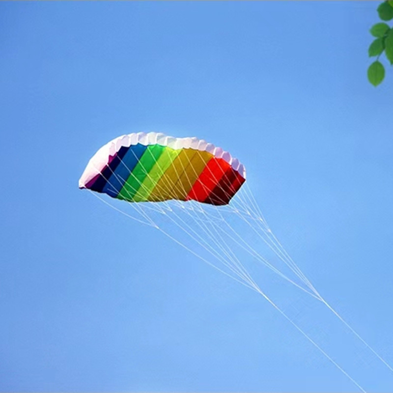Jual 270cm dual line large parafoil kites albatross stunt kites ...