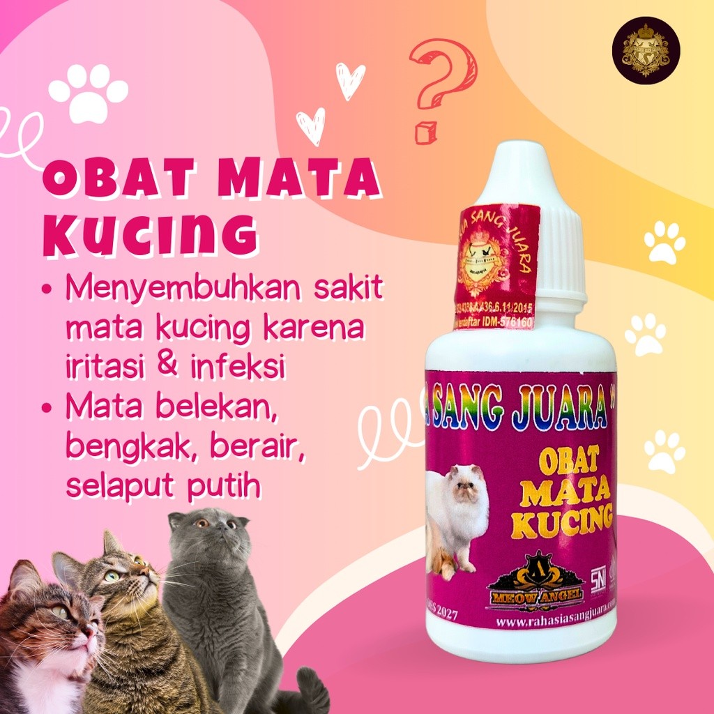 Jual OBAT TETES MATA KUCING RSJ OBAT KUCING SAKIT MATA BELEKAN BENGKAK ...