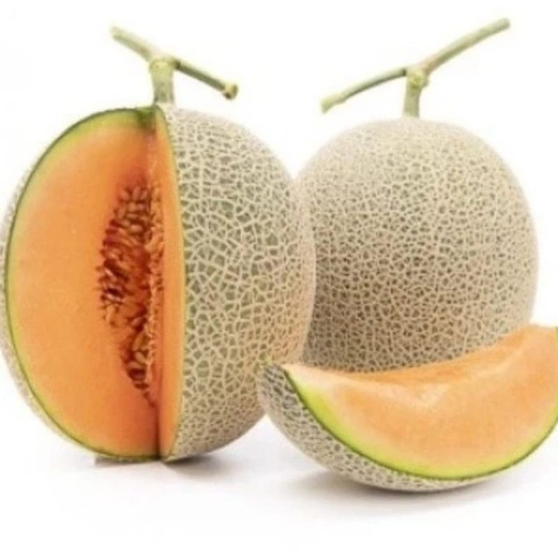 Jual 50 Benih Bibit Biji Melon SAKATA GLAMOUR F1 Oren Hibrida Seeds ...