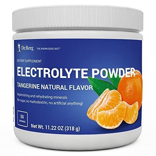 Jual Dr. Berg's Electrolyte Powder, High Energy, Replenish and ...