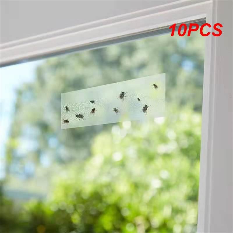Jual Single-sided Transparent Window Fly Catcher Fly Sticker Fly Stick ...