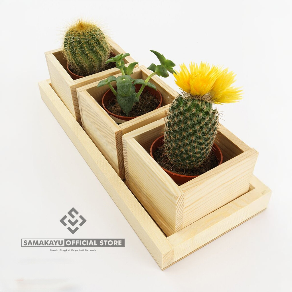 Jual Set 4 Sekat Box Kotak Kayu Sati Paket BOX kayu Kotak Kayu Pinus ...