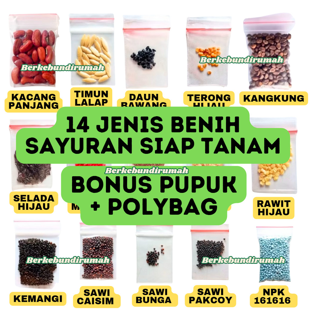 Jual 14 Jenis Paket Benih Sayuran Lengkap Cepat Tumbuh untuk Pemula ...