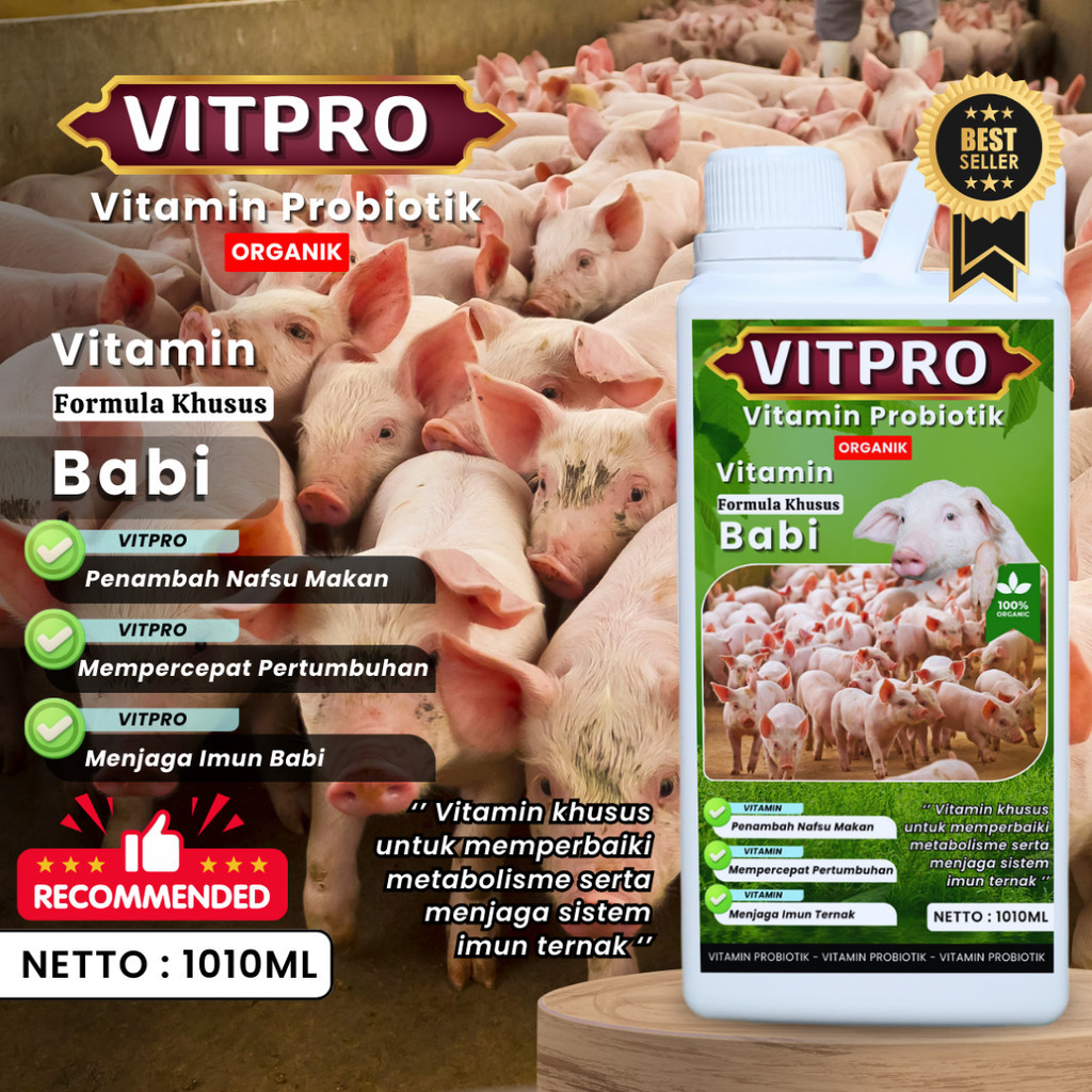 Jual Vitpro Nutrisi Ternak Babi Probiotik Vitamin Ternak Organik ...