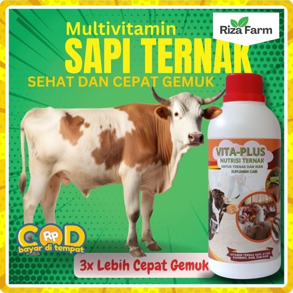 Jual BISA COD Vitamin Sapi Biar Cepat Gemuk VITA PLUS Obat Vitamin ...