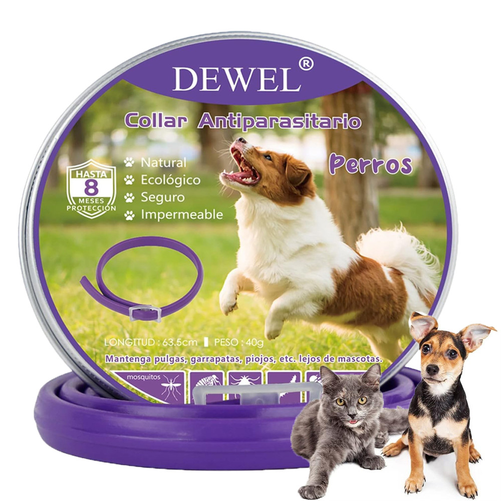 Jual DEWEL Anti Flea Dogs Collar 8 Months Effective Protection Natural Safe Adjustable Anti Tick ...