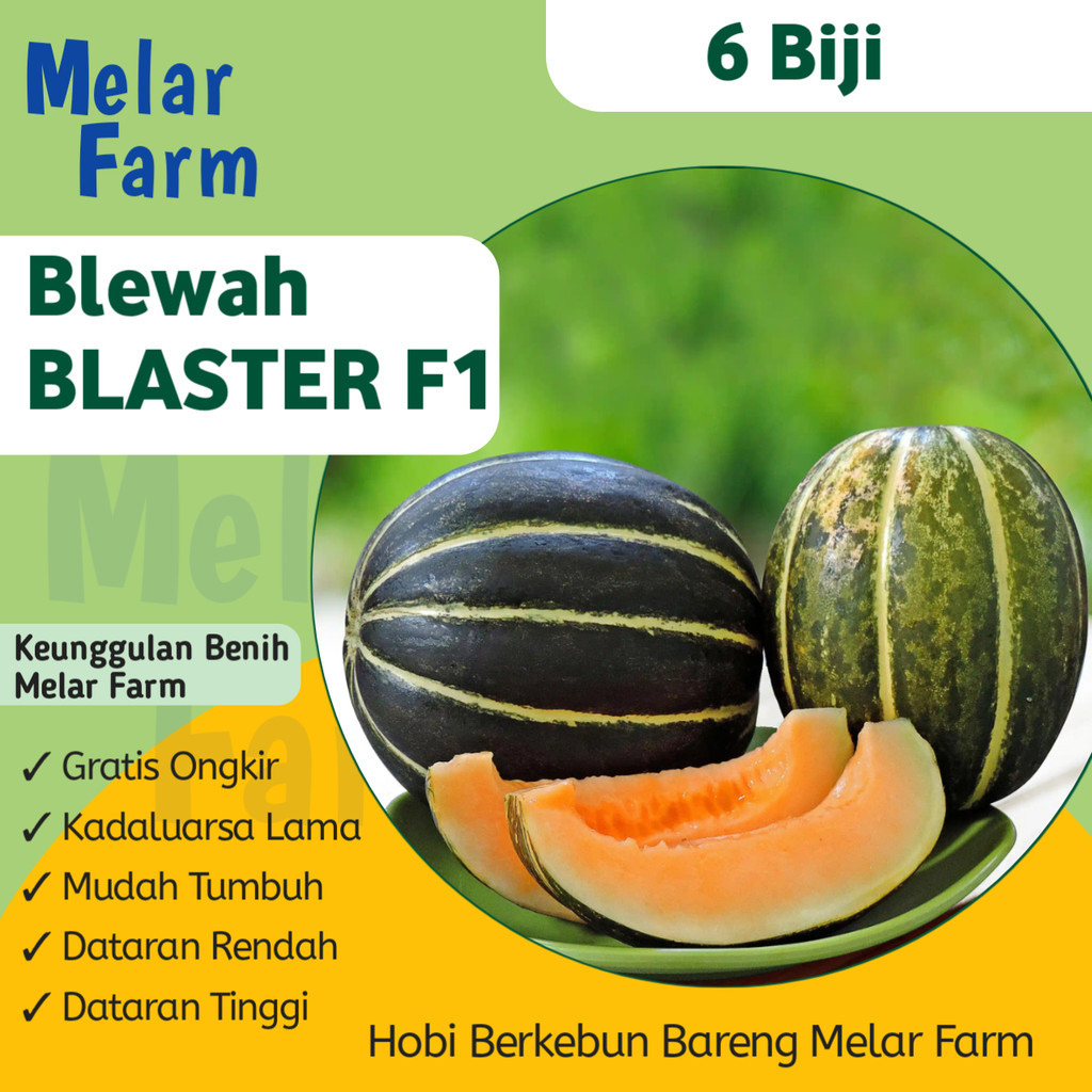 Jual Melar Farm - 6 Bibit Buah Blewah Blaster F1 Hibrida | Shopee Indonesia