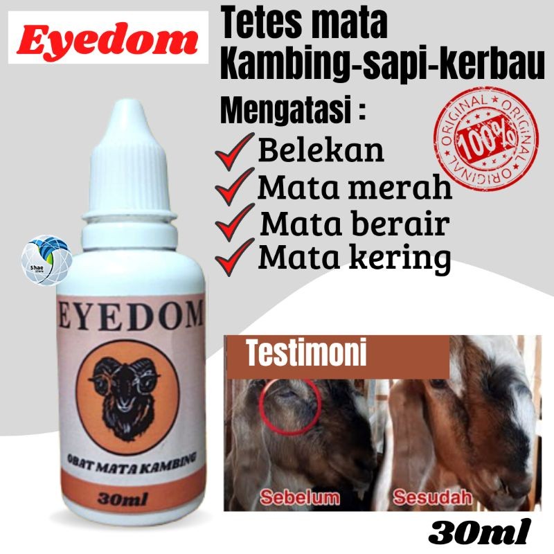 Jual Obat Tetes Mata Kambing Sapi Kerbau Obat Sakit Mata Hewan Eyedom ...