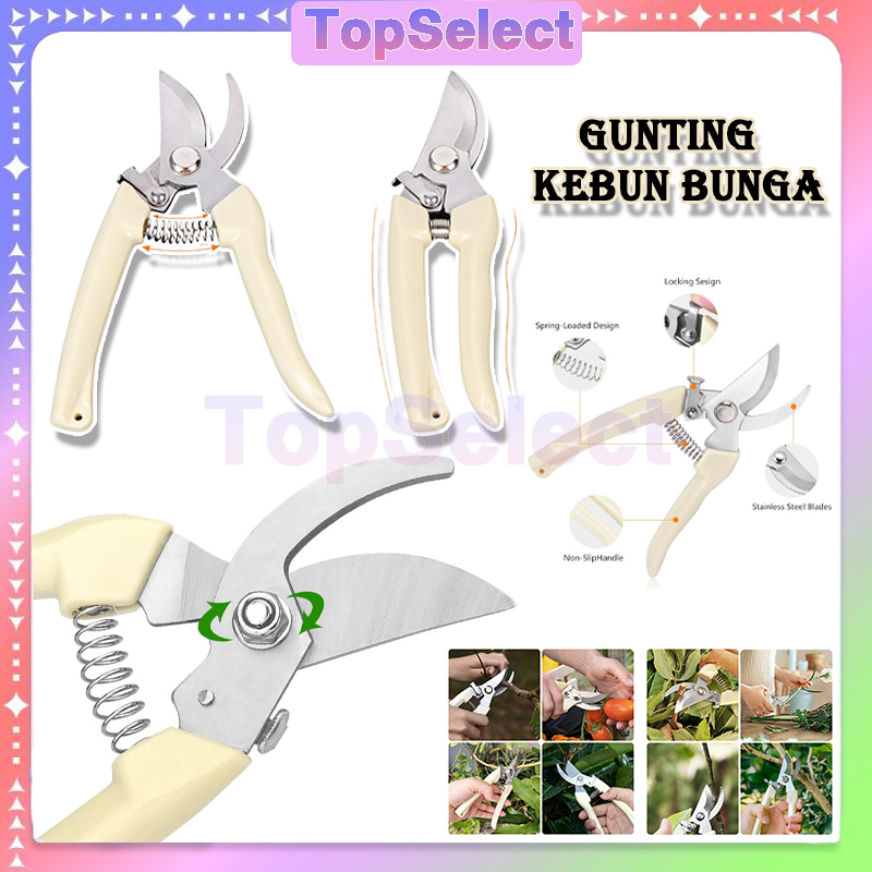 Jual Ranting Pruning Alat/ Gunting Ranting Pruning/Gunting Tanaman Dahan Ranting /Gunting Kebun ...