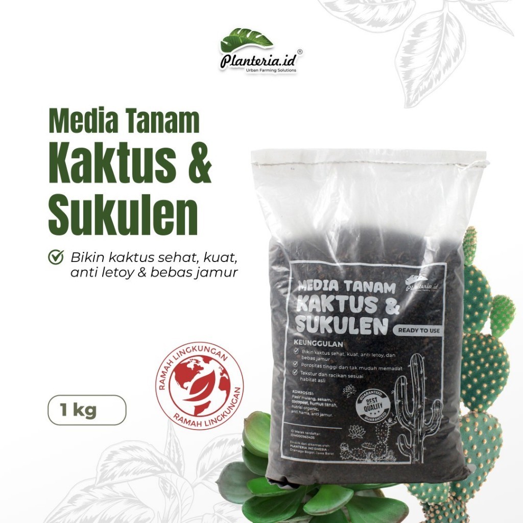 Jual Media Tanam Sukulen 1kg – Cocok untuk Indoor & Outdoor | Shopee ...